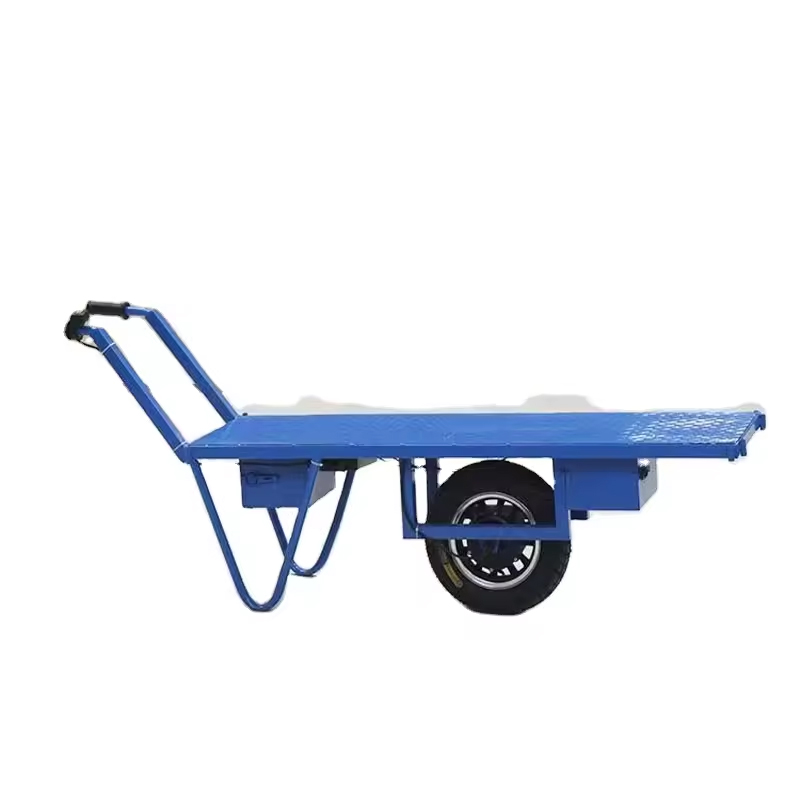 Revolutionary Electric Trolley: Efficient & Trendy For Cargo- SHANDONG ...